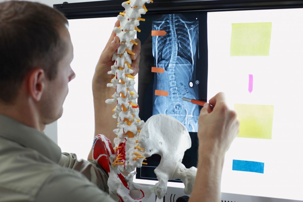 Chiropractor for Back Pain - Principled Living Tonal Chiropractic